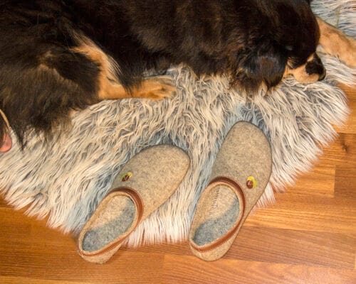 Barefoot slippers Crop Archives | Proalp obutev
